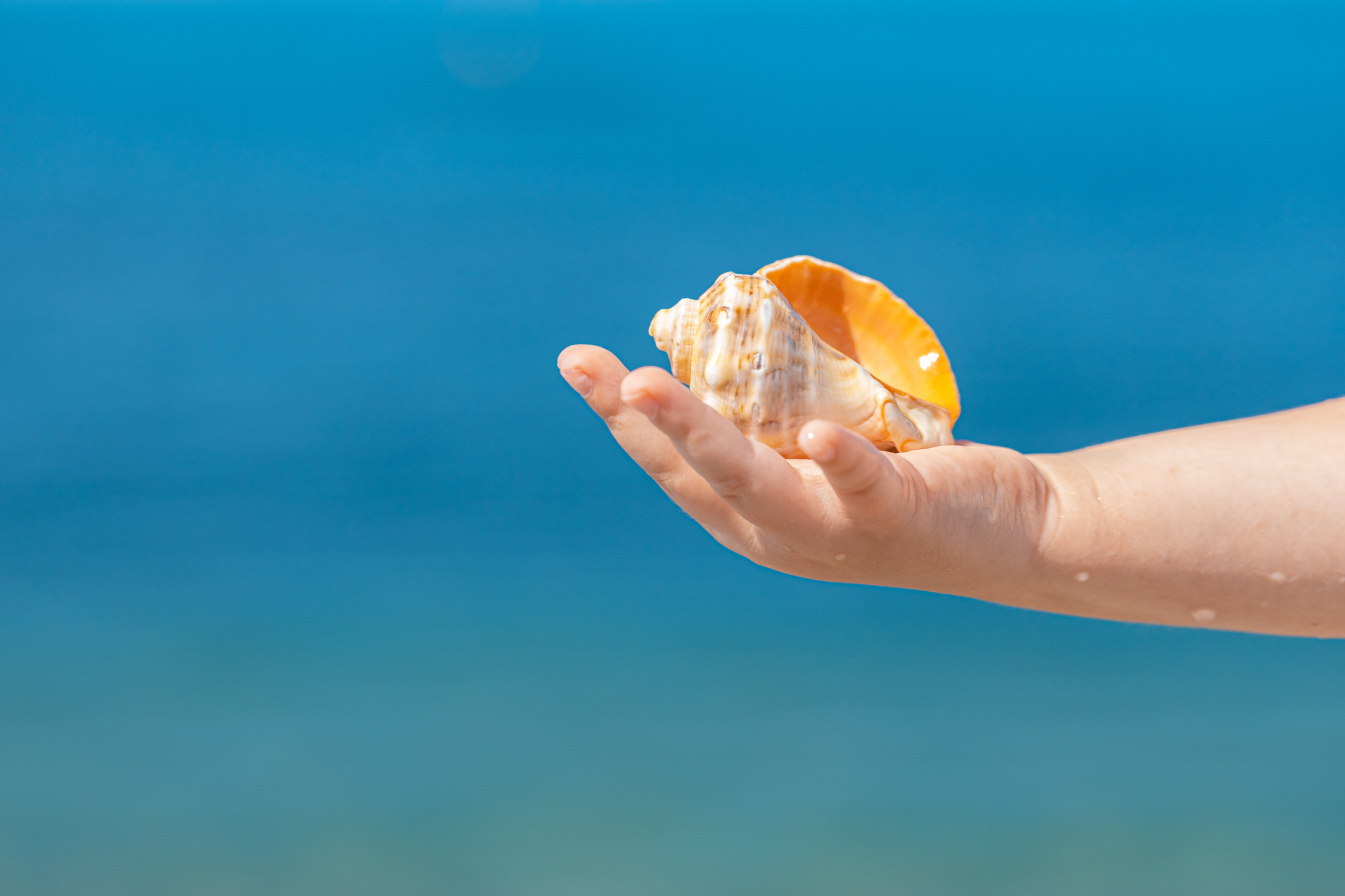 Ebb and Flow Psychology